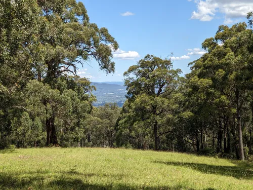 10 Best Hard Trails in Yarra Ranges National Park | AllTrails