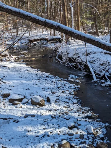 Best Hikes and Trails in Mohawk River State Park | AllTrails