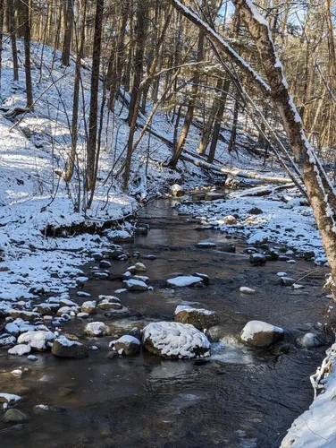 Best Hikes and Trails in Mohawk River State Park | AllTrails