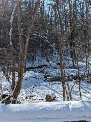 Best Hikes and Trails in Mohawk River State Park | AllTrails