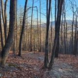 Carvin's Cove Hay Rock via Appalachian Trail, Virginia - 1,038 Reviews ...