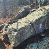 Carvin's Cove Hay Rock via Appalachian Trail, Virginia - 1,038 Reviews ...