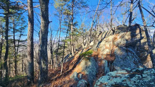 Best Hikes and Trails in McAfee Knob Trailhead | AllTrails