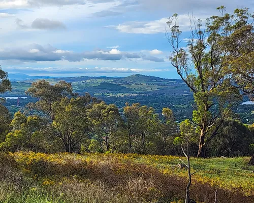 10 Best Walking Trails in Red Hill Nature Reserve | AllTrails