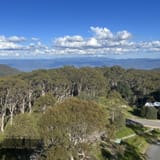 Mount Victoria Track, Victoria, Australia - 302 Reviews, Map | AllTrails