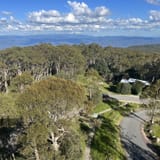 Mount Victoria Track, Victoria, Australia - 302 Reviews, Map | AllTrails