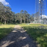 Mount Victoria Track, Victoria, Australia - 302 Reviews, Map | AllTrails
