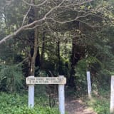 Mount Victoria Track, Victoria, Australia - 305 Reviews, Map | AllTrails