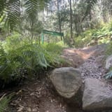Mount Victoria Track, Victoria, Australia - 298 Reviews, Map | AllTrails