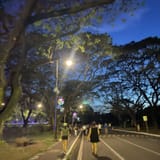 UP Oval Trail, Metro Manila, Philippines - 65 Reviews, Map | AllTrails