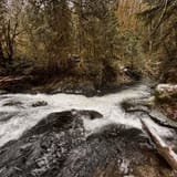 Kennedy Falls Trail , Washington - 847 Reviews, Map | AllTrails