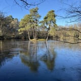 Finchampstead Ridges and Blackwater Valley Circular, Berkshire, England ...