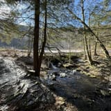 Kelly Hollow Loop, New York - 360 Reviews, Map | AllTrails