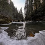 Franklin Ghost Town Trail, Washington - 1,459 Reviews, Map | AllTrails
