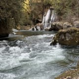 Franklin Ghost Town Trail, Washington - 1,482 Reviews, Map | AllTrails
