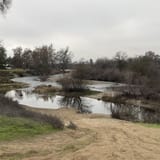 Lewis Eaton and Tom Macmichael Loop Trail , California - 233 Reviews ...