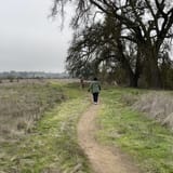 Lewis Eaton and Tom Macmichael Loop Trail , California - 233 Reviews ...