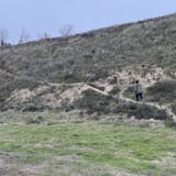 Lewis Eaton and Tom Macmichael Loop Trail , California - 233 Reviews ...