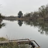 Lewis Eaton and Tom Macmichael Loop Trail , California - 233 Reviews ...