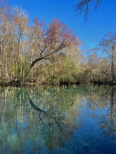 10 Best Trails and Hikes in High Springs | AllTrails