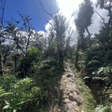 Mount Britton Tower Trail, East Region, Puerto Rico - 1,742 Reviews ...