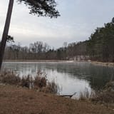 Holler Collar Trail, Ohio - 65 Reviews, Map | AllTrails