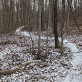 Holler Collar Trail, Ohio - 65 Reviews, Map | AllTrails