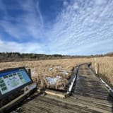 North Creek Trail, Washington - 557 Reviews, Map | AllTrails