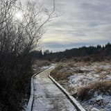 North Creek Trail, Washington - 557 Reviews, Map | AllTrails