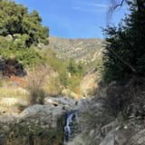 Cold Spring Loop, California - 2,110 Reviews, Map | AllTrails