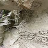 Tafoni Sandstone Formation via Tafoni, Fir, and Methuselah Loop ...