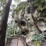 Tafoni Sandstone Formation via Tafoni, Fir, and Methuselah Loop ...