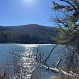 North Lake Loop Trail, South Carolina - 344 Reviews, Map | AllTrails