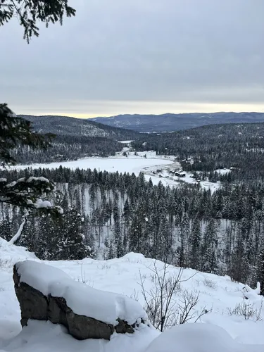 Best Hikes and Trails in Stillwater State Forest | AllTrails