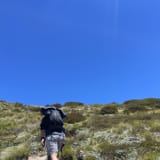 Lewis Tops Track, Canterbury, New Zealand - 70 Reviews, Map | AllTrails