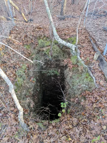 Best Hikes and Trails in Long Cane Scenic Area | AllTrails