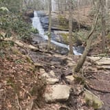 Fall Branch Falls Trail, Georgia - 1,121 Reviews, Map | AllTrails