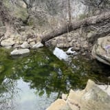 Homestead to Blue Ridge Loop, California - 2,745 Reviews, Map | AllTrails