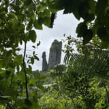 Cross Island Track and The Needle, Rarotonga, Cook Islands - 191 ...