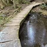 Lord Hill, Main Trail, and Temple Pond Loop Trail, Washington - 1,315 ...