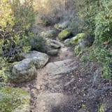 Morgan Trail, California - 536 Reviews, Map | AllTrails