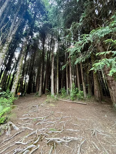 Best Views Trails in Te Awamutu | AllTrails