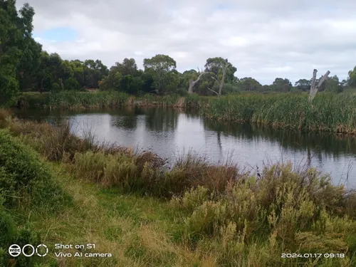 Best Moderate Trails in Aldinga Scrub Conservation Park | AllTrails