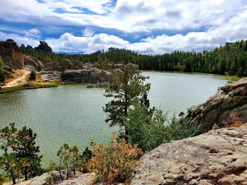 Best Wheelchair Friendly Trails in Custer State Park | AllTrails