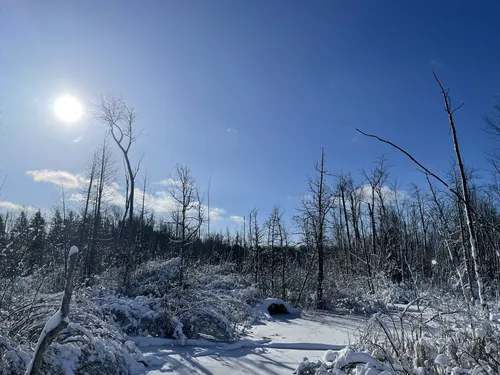 Best Walking Trails in Independence Oaks County Park | AllTrails