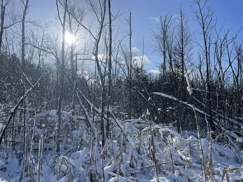 Best Walking Trails in Independence Oaks County Park | AllTrails