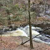Hackers Falls and Cliff Trail Loop, Pennsylvania - 1,757 Reviews, Map ...