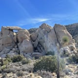 Ryan Mountain, California - 6,999 Reviews, Map | AllTrails