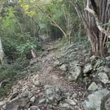 Lind Point Trail to Honeymoon Beach, Saint John, US Virgin Islands ...