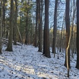 Little Harbor Loop Trail, New Hampshire - 461 Reviews, Map | AllTrails